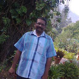 Guru Master | Wrytin