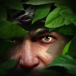 Insane Gaming | Wrytin