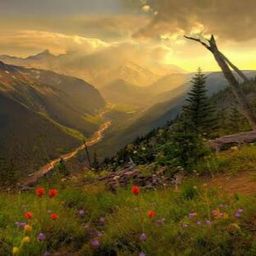 Jayesh Singh | Wrytin