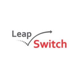 Leap Switch Networks | Wrytin