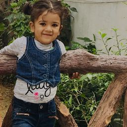 Nursery Rhymes | Wrytin