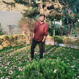 Rudra Pratap Rai | Wrytin