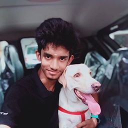 Shank Sha Sha | Wrytin