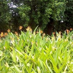 Sunil Singh | Wrytin