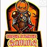 Super Striker Gaming | Wrytin