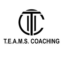 Teams Coaching | Wrytin