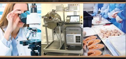 Fish Processing Steps | Wrytin