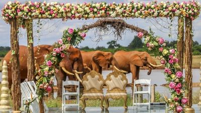 Event House Limited Brings Aesthetic Themes To Life For Events In Kenya ...