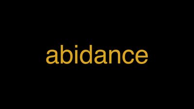 Meaning of Abidance in Hindi - हिंदी में मतलब | Wrytin