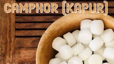 Benefits Of Camphor (Kapur) | Wrytin