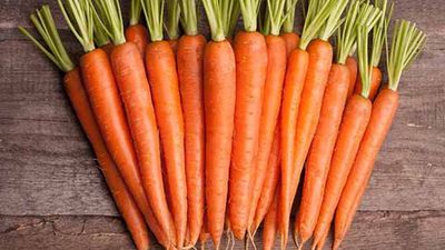 The Carrot Myth | Wrytin
