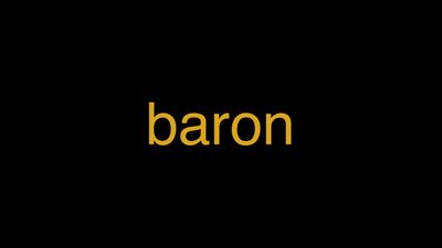Meaning of Baron in Hindi - हिंदी में मतलब | Wrytin