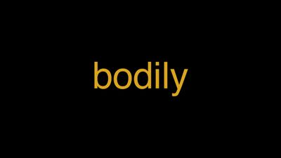 Meaning of Bodily in Hindi - हिंदी में मतलब | Wrytin
