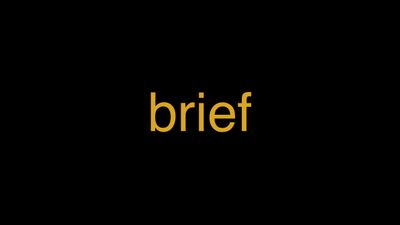 Meaning of Brief in Hindi - हिंदी में मतलब | Wrytin
