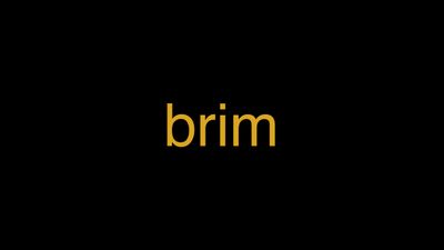 Meaning of Brim in Hindi - हिंदी में मतलब | Wrytin