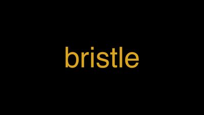 Meaning of Bristle in Hindi - हिंदी में मतलब | Wrytin