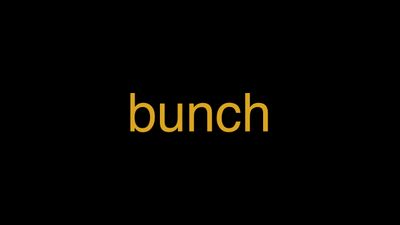 Meaning of Bunch in Hindi - हिंदी में मतलब | Wrytin