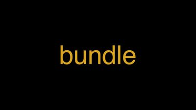 Meaning of Bundle in Hindi - हिंदी में मतलब | Wrytin