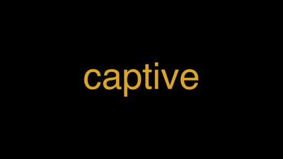 Meaning of Captive in Hindi - हिंदी में मतलब | Wrytin