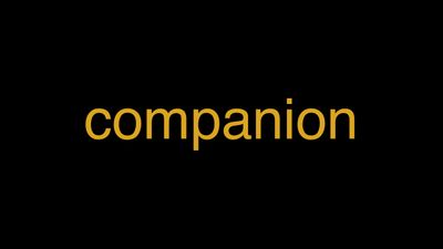 Meaning of Companion in Hindi - हिंदी में मतलब | Wrytin