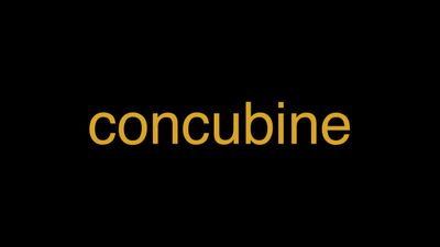 Meaning of Concubine in Hindi - हिंदी में मतलब | Wrytin