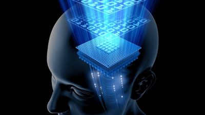 Working Of Mind: Mechanism For Thinking | Wrytin