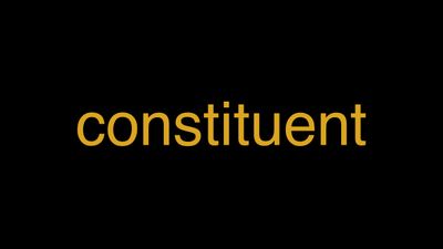 Meaning of Constituent in Hindi - हिंदी में मतलब | Wrytin