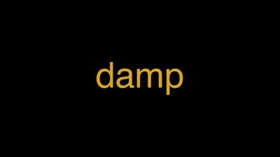 Meaning of Damp in Hindi - हिंदी में मतलब | Wrytin