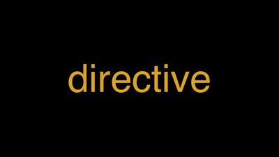 Meaning of Directive in Hindi - हिंदी में मतलब | Wrytin