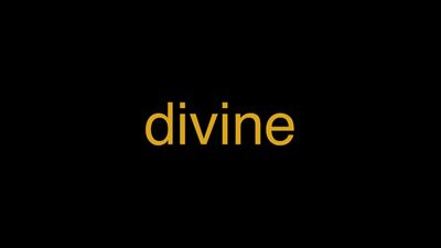 Meaning of Divine in Hindi - हिंदी में मतलब | Wrytin