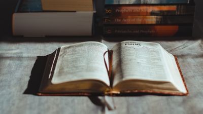 The Magic Of Poetry Under The Stars: Exploring The Connection Between ...