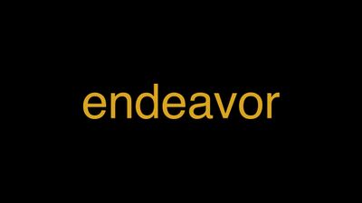 Meaning of Endeavor in Hindi - हिंदी में मतलब | Wrytin