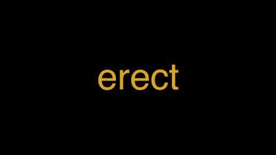 Meaning of Erect in Hindi - हिंदी में मतलब | Wrytin