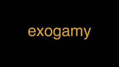 Meaning of Exogamy in Hindi - हिंदी में मतलब | Wrytin