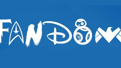 The ‘Fandom’ Story | Wrytin