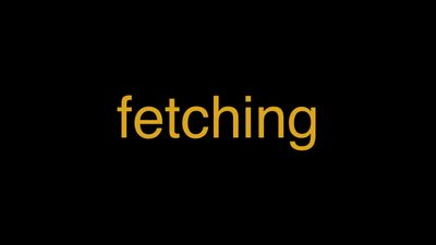 Meaning of Fetching in Hindi - हिंदी में मतलब | Wrytin