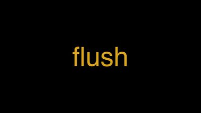 Meaning of Flush in Hindi - हिंदी में मतलब | Wrytin