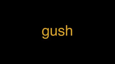 Meaning of Gush in Hindi - हिंदी में मतलब | Wrytin