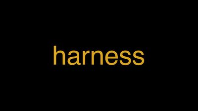 Meaning of Harness in Hindi - हिंदी में मतलब | Wrytin
