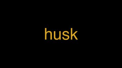 Meaning of Husk in Hindi - हिंदी में मतलब | Wrytin