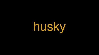 Meaning of Husky in Hindi - हिंदी में मतलब | Wrytin