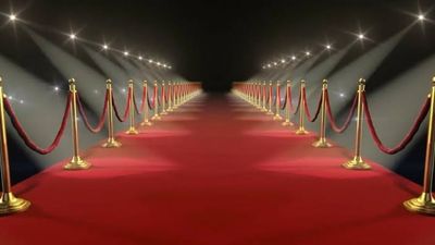 Overnight Fame | Wrytin