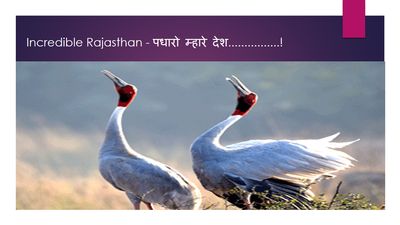 Incredible Rajasthan - पधारो म्हारे देश.............! - A Wildlife ...