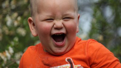 These Jokes Will Have You Cry Laughing | Wrytin