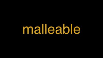 Meaning of Malleable in Hindi - हिंदी में मतलब | Wrytin