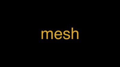 Meaning of Mesh in Hindi - हिंदी में मतलब | Wrytin