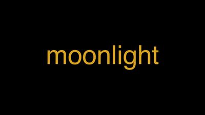 Meaning of Moonlight in Hindi - हिंदी में मतलब | Wrytin