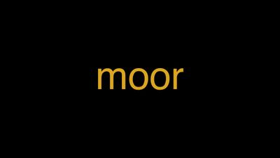 Meaning of Moor in Hindi - हिंदी में मतलब | Wrytin