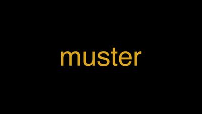 Meaning of Muster in Hindi - हिंदी में मतलब | Wrytin