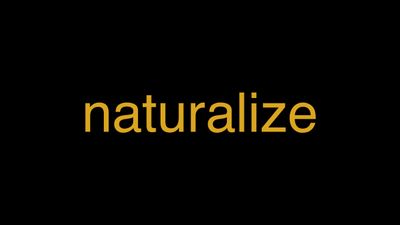 Meaning of Naturalize in Hindi - हिंदी में मतलब | Wrytin